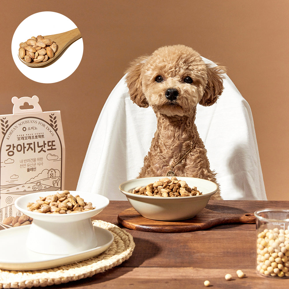 🐶 LHT No Worries Doggie Natto Korean Fermented Soybeans 1 Pack (40g ...